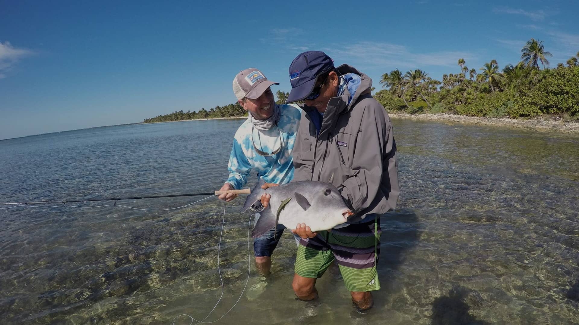 Contact Us | GoFish Belize